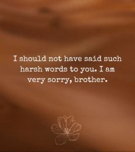 40+ Sorry Messages for Brother - Apology Messages - BlessMsg