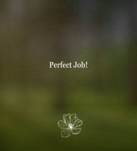 47+ Appreciation Messages for Good Work - BlessMsg