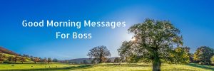 Good Morning Messages For Boss - BlessMsg