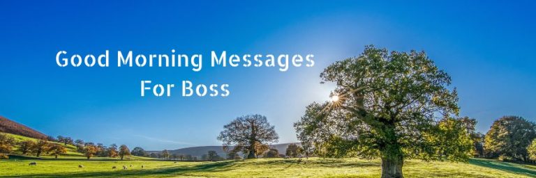 Good Morning Messages For Boss - BlessMsg