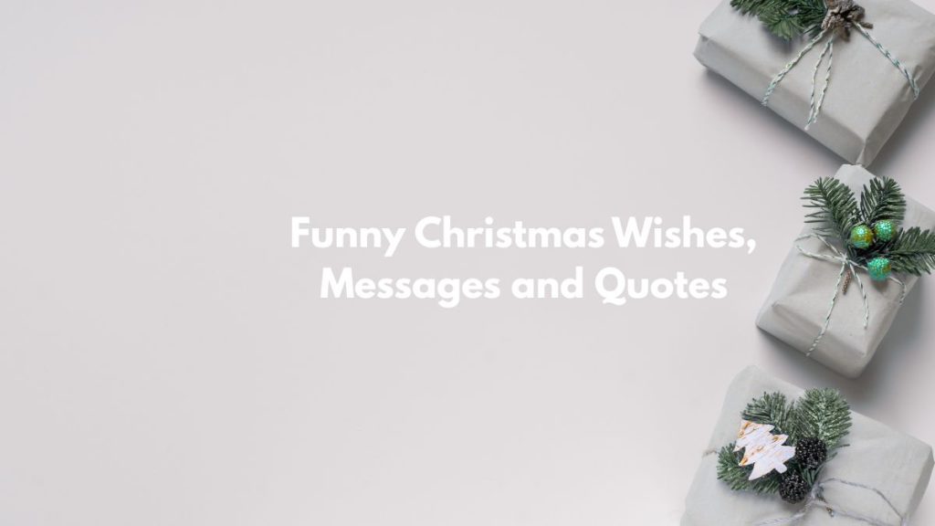 Funny Christmas Wishes, Messages and Quotes - BlessMsg