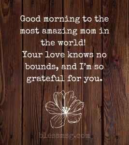 Heart Touching Good Morning Messages for Mom - BlessMsg
