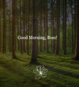 Good Morning Messages For Boss - BlessMsg
