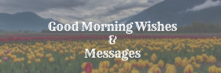 95+ Sweet Good Morning Messages and Wishes - BlessMsg