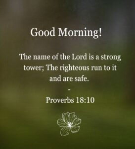 40+ Powerful and Uplifting Good Morning Bible Verses - BlessMsg
