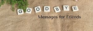 40+ Goodbye Messages for Friends - BlessMsg
