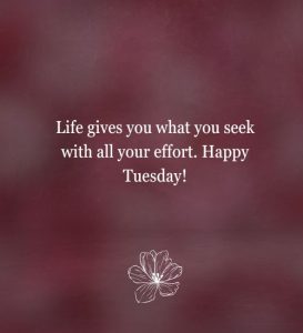 60+ Happy Tuesday Wishes, Messages & Quotes - BlessMsg