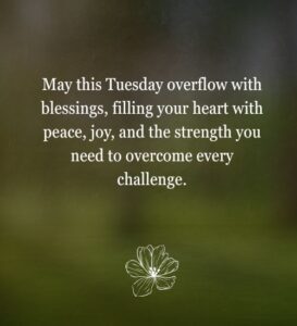 60+ Happy Tuesday Wishes, Messages & Quotes - BlessMsg