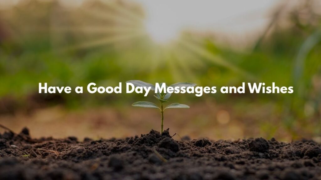 80+ Good Day Messages and Wishes - BlessMsg