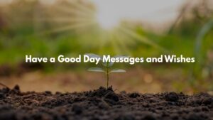 80+ Good Day Messages and Wishes - BlessMsg