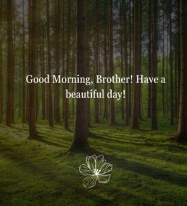 Good Morning Messages For Brother - BlessMsg