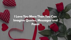 I Love You More Than You Can Imagine Quotes, Messages and Poem