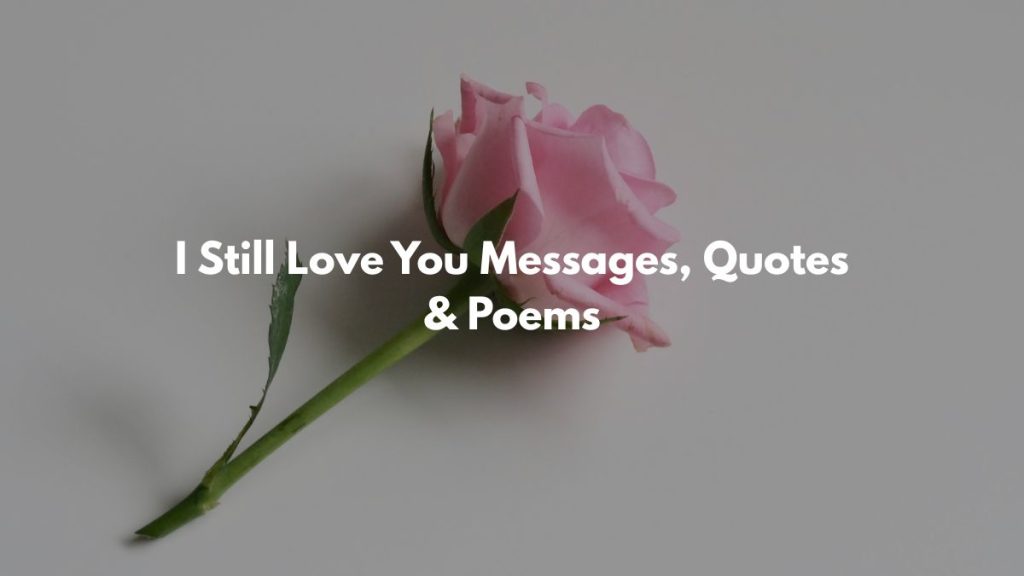 I Still Love You Messages, Quotes & Poems - BlessMsg