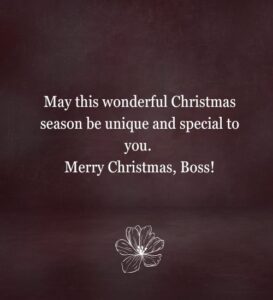 Best Merry Christmas Wishes for Boss - Messages, Greetings & Quotes