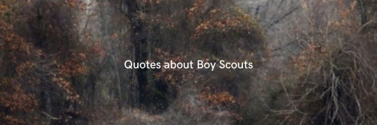Quotes about Boy Scouts - BlessMsg