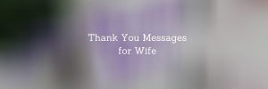 60+ Thank You Messages for Wife | Appreciate Wife Quotes - BlessMsg