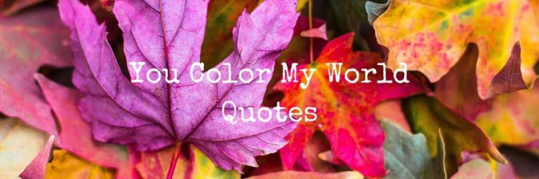 40+ You Color My World Quotes & Poem - Short Love Poems